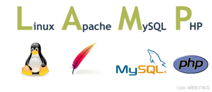 LAMP环境下搭建Wordpress（最简单最详细）_lamp wordpress-CSDN博客