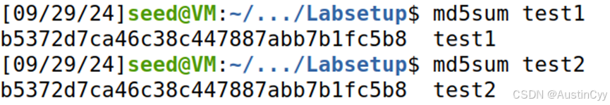 【Seed-Labs 2.0】MD5 Collision Attack Lab_md5碰撞生成器-CSDN博客