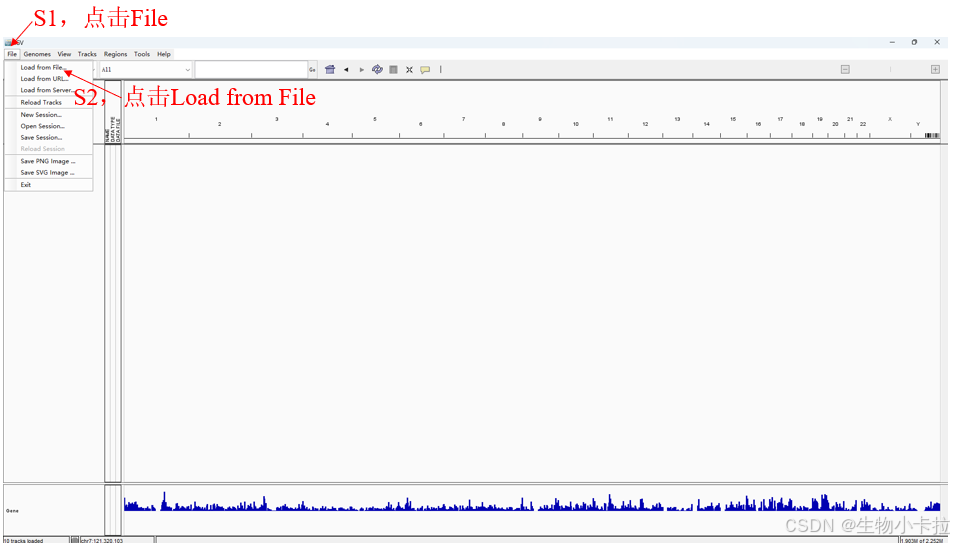 IGV软件系列--peak可视化 -CSDN博客