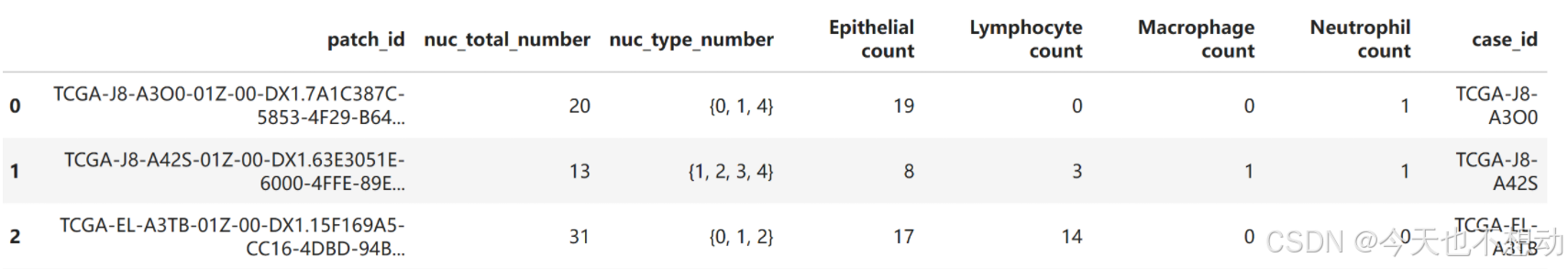 HoVer-Net_实操与文章应用思路_hovernet-CSDN博客