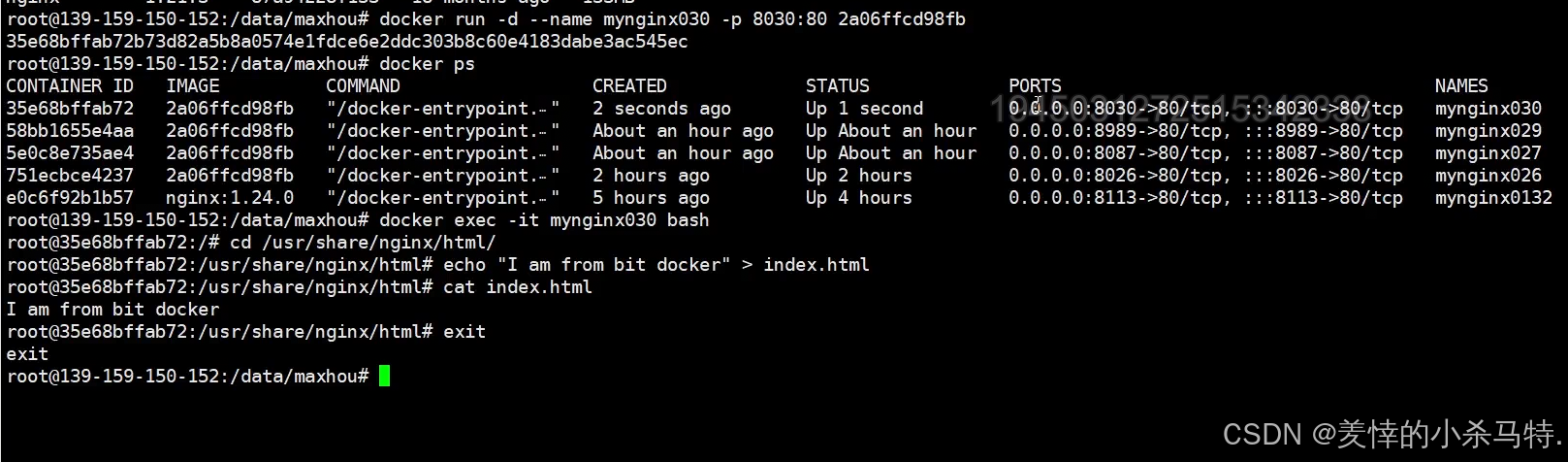 Docker容器操作流程超详细攻略！attach/detach模式怎么选？自动重启如何配置？等等等 一篇带你全吃透！_docker detach-CSDN博客