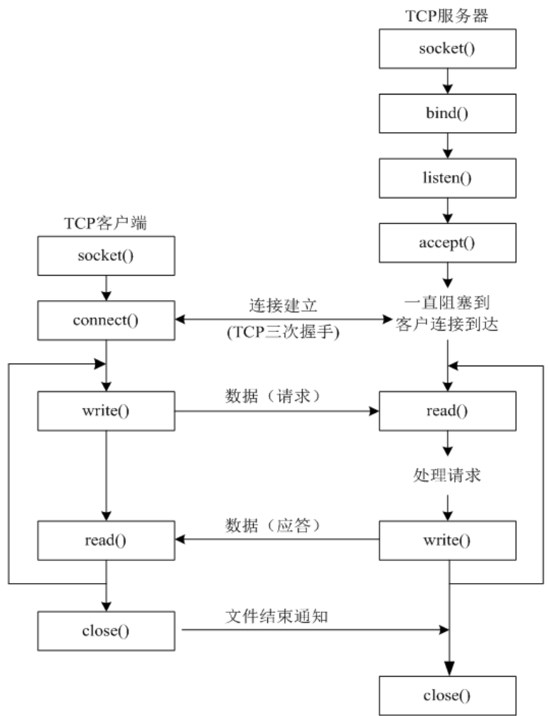 TCP和UDP概述_tcp udp-CSDN博客