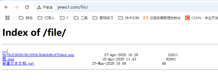 nginx常用模块（1）_nginx autoindex-CSDN博客