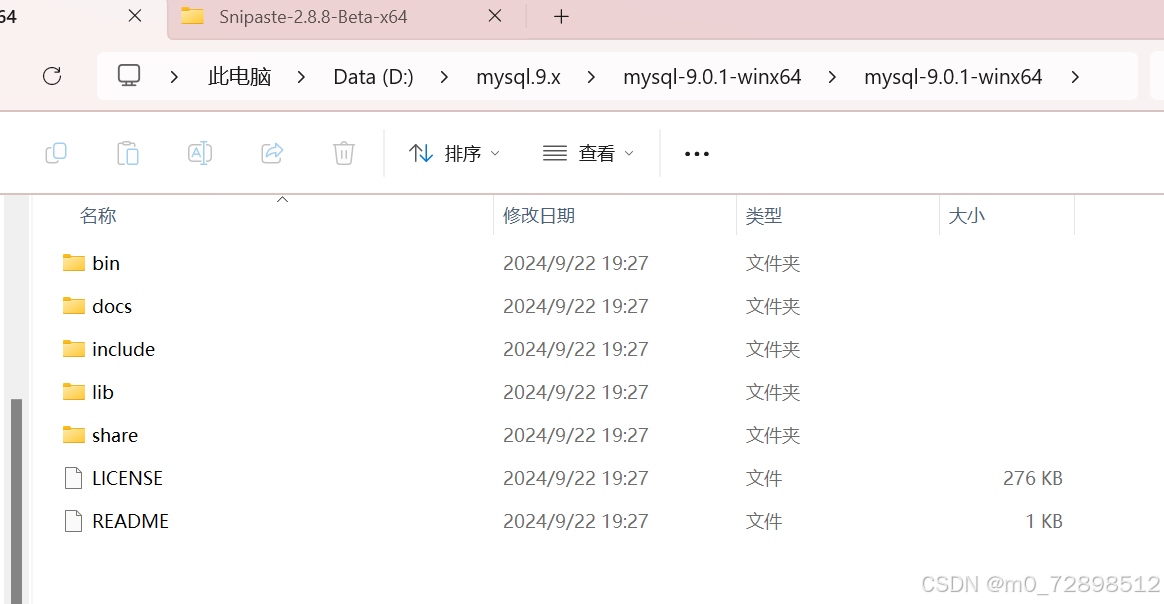 Mysql.9.x安装_mysql9 zip 安装-CSDN博客