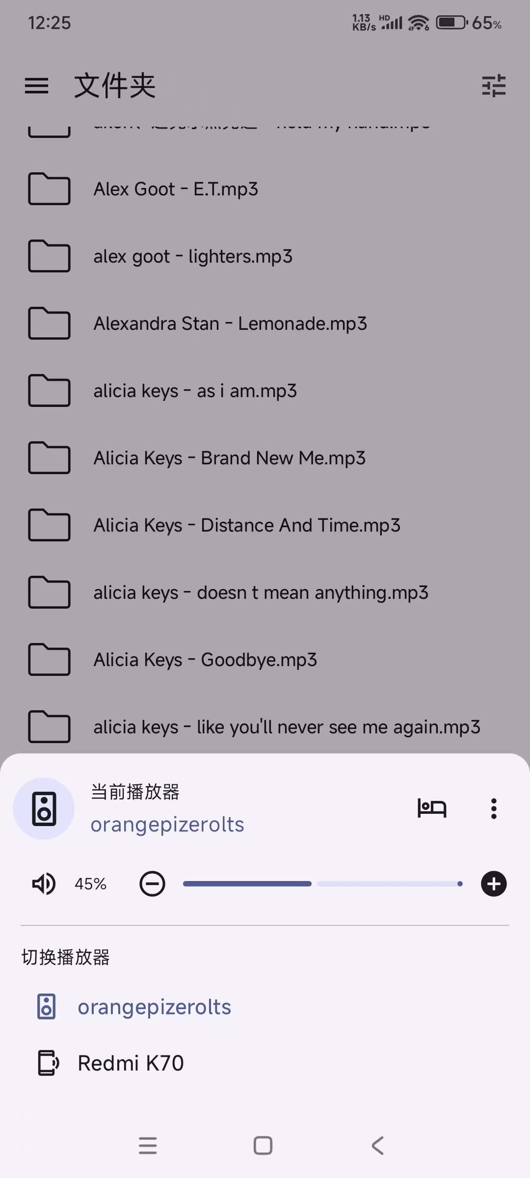 快速部署LMS + Squeezelite 本地音乐套件-CSDN博客