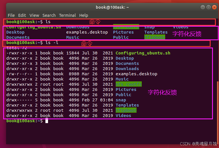 Linux操作系统常用命令详解1 熟悉命令基础 打开linux终端。 学习常见的命令格式如 Command Opti Csdn博客