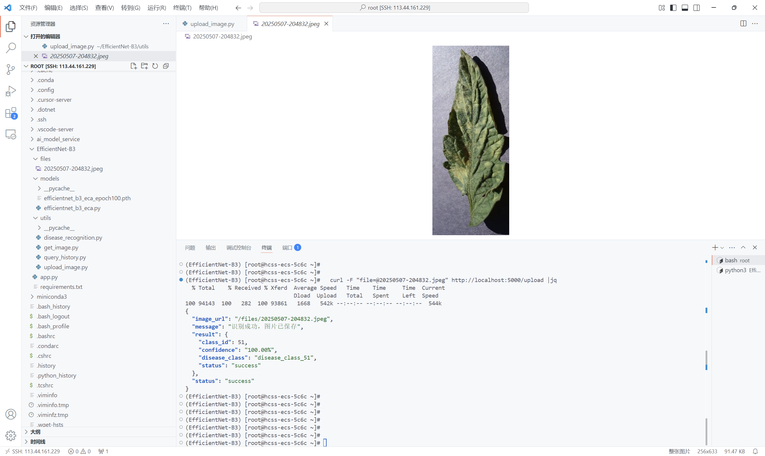 2026毕业设计-基于EfficientNet-B3+ECA模型的农业病虫害识别研究与应用_基于efficientnet-b3实现图像分类,植物虫害分类-CSDN博客