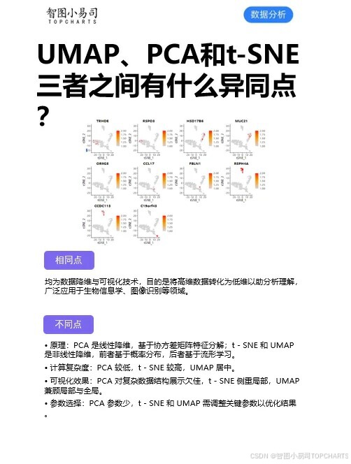 别再懵圈！一文30秒搞懂 UMAP 图，快看-CSDN博客