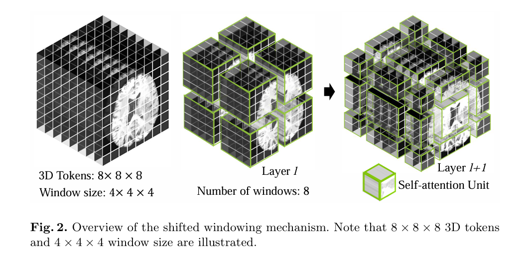 【SwinUNETR】《Swin UNETR: Swin Transformers for Semantic Segmentation of Brain Tumors in MRI...》译读 ...