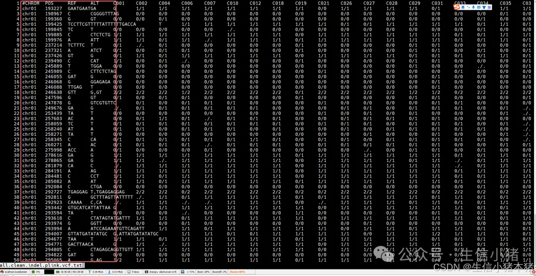 使用python脚本把indel的vcf格式文件转化为plink格式文件_plink 输出的vcf-CSDN博客