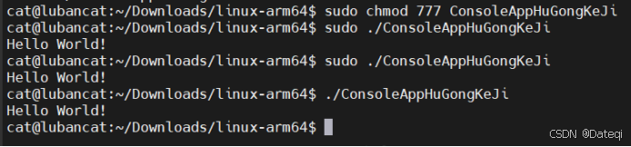 VS2019 .net core 基础程序发布到linux arm64_vs发布linux版本包-CSDN博客