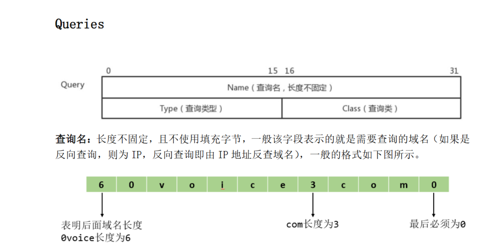 DNS的协议与请求：C语言实现DNS域名解析_cdns-CSDN博客