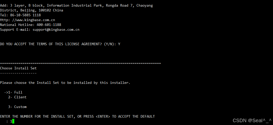 Linux系统命令行安装 KingbaseES V9详细步骤_linux安装kingbase-CSDN博客
