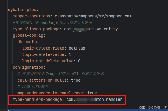 解决MyBatis自定义解析器问题 Error parsing Mapper XML...No typehandler found for ...