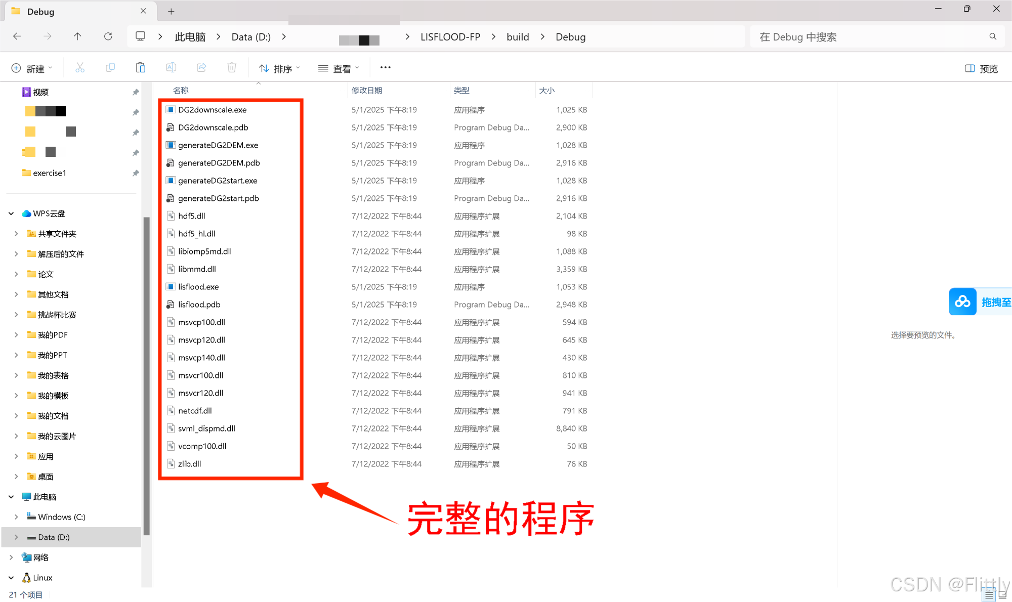 【LISFLOOD-FP使用指南】（1）快速上手-CSDN博客