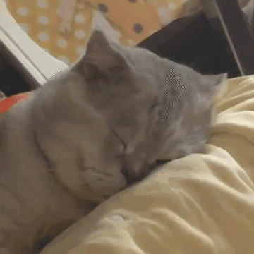 ABAP MODIFY 更新内表_abap modify 内表-CSDN博客