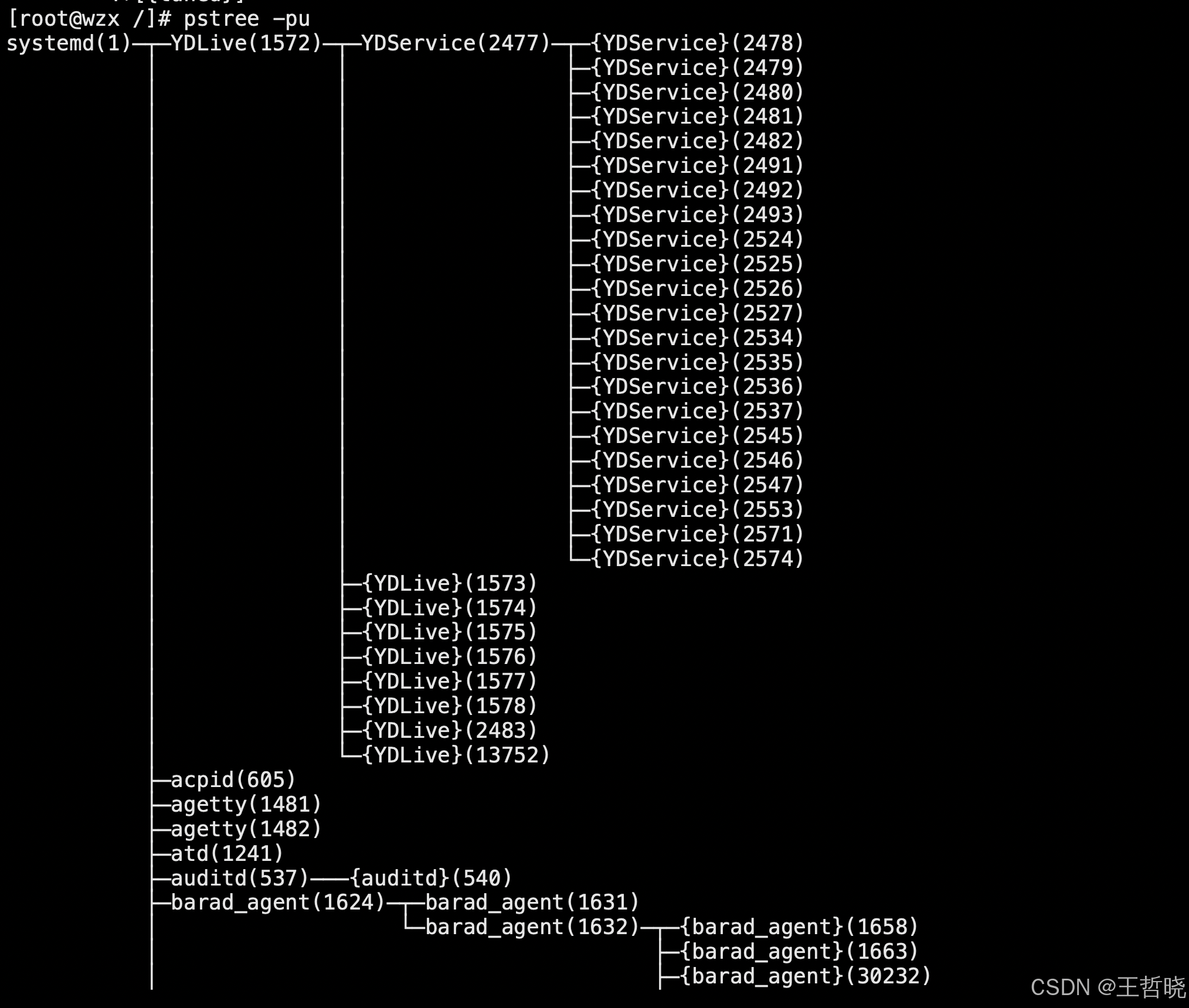 Linux进程管理_pstree -pu-CSDN博客