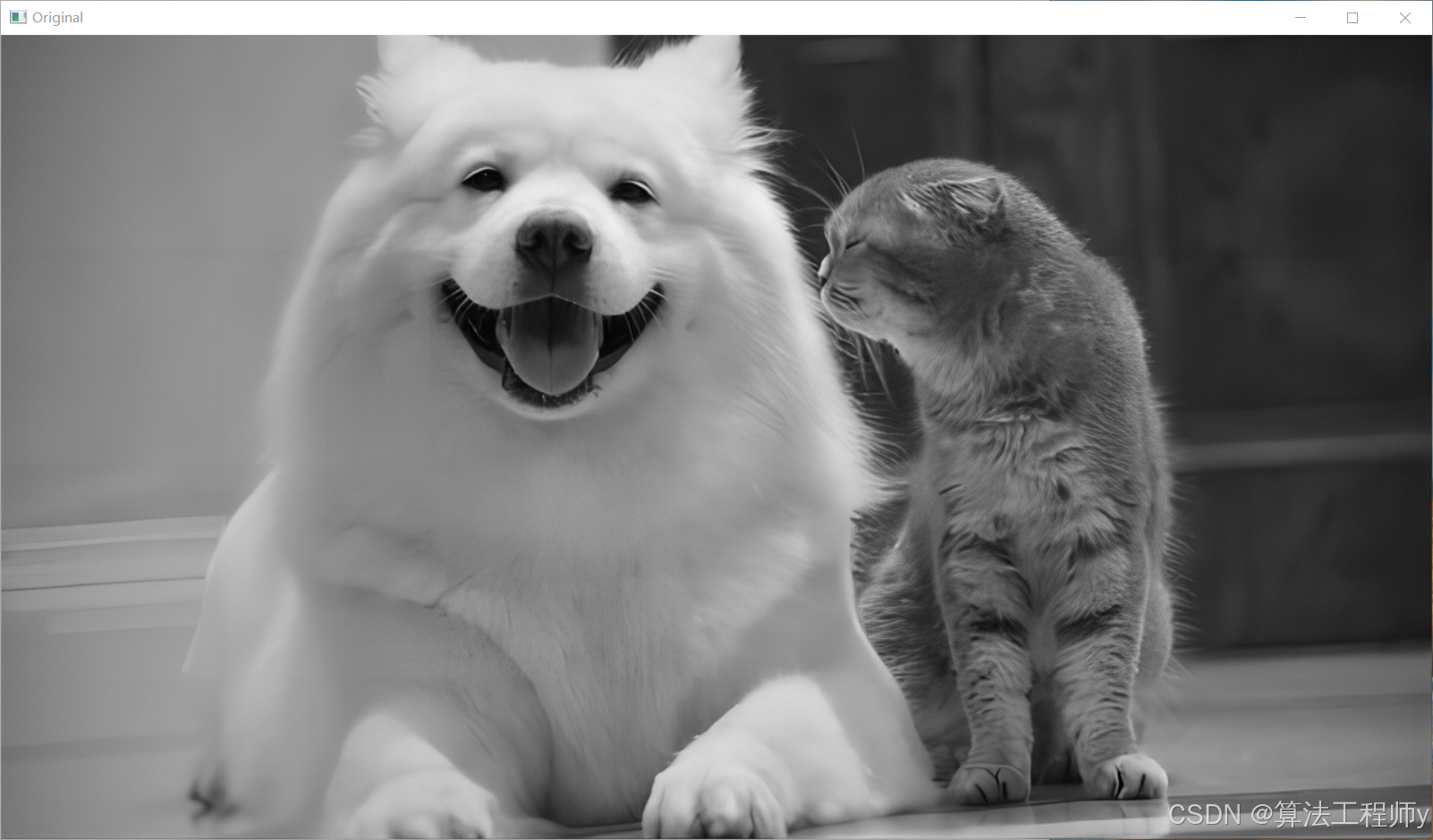 Canny边缘检测理论与Python实现_python canny-CSDN博客