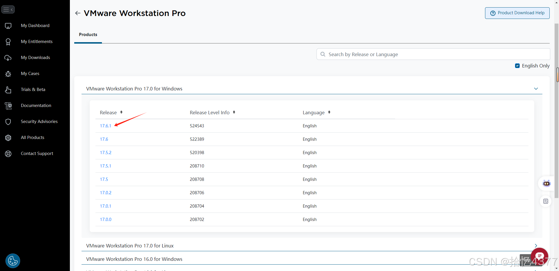 VMmare Workstation Pro免费版下载安装教程-CSDN博客