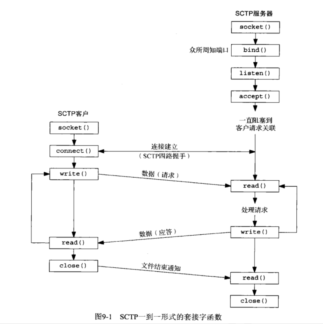 UNP第一卷 第九章--基本 SCTP 套接字编程-CSDN博客