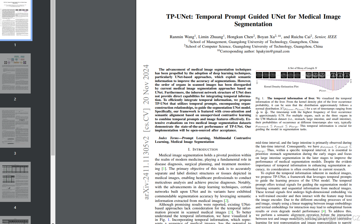 TP-UNet: Temporal Prompt Guided UNet for Medical Image Segmentation——基于时间提示的UNet医学图像分割-CSDN博客