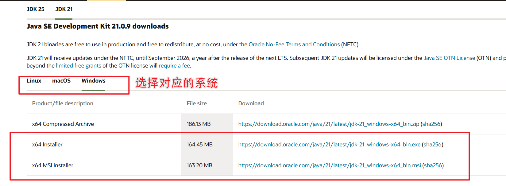 【2025 年最新版】Java JDK 安装与环境配置教程（附图文超详细，Windows+macOS 通用）_jdk安装-CSDN博客