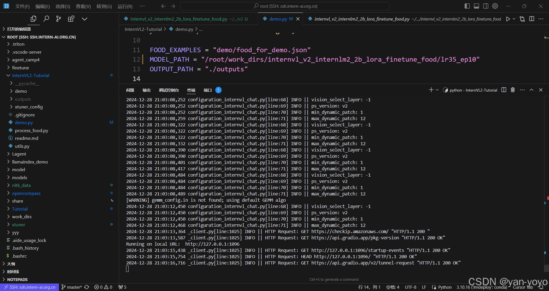 InternVL 部署微调实践_llama factory微调internvl-CSDN博客