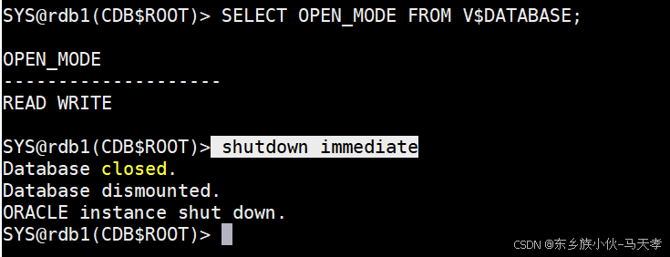 Linux Oracle19c删除容器数据库实例（cdb）oracle19c删除实例 Csdn博客