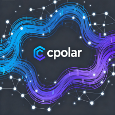 算法刷题无边界！Hello-Algo+cpolar 随时随地想学就学-CSDN博客