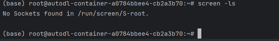 AutoDL使用screen守护进程的方法【Pycharm】_autodl守护进程-CSDN博客