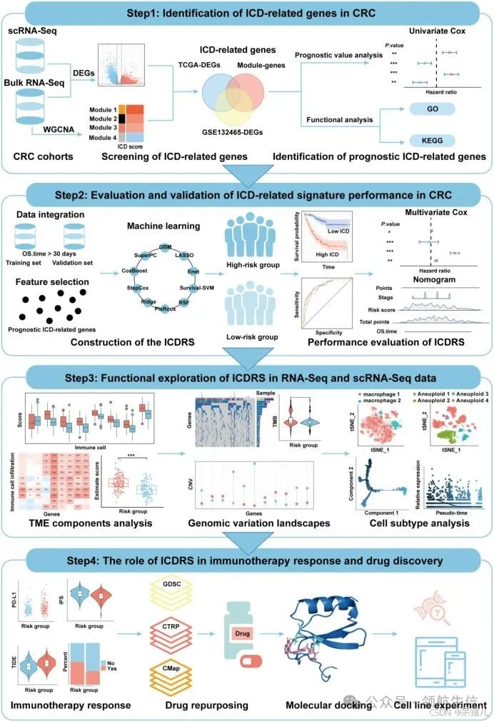 0测序，无返修2个月完成！“多组学＋机器学习”拿下中科院2区！不信你不心动？_stepcox结果怎么看-CSDN博客