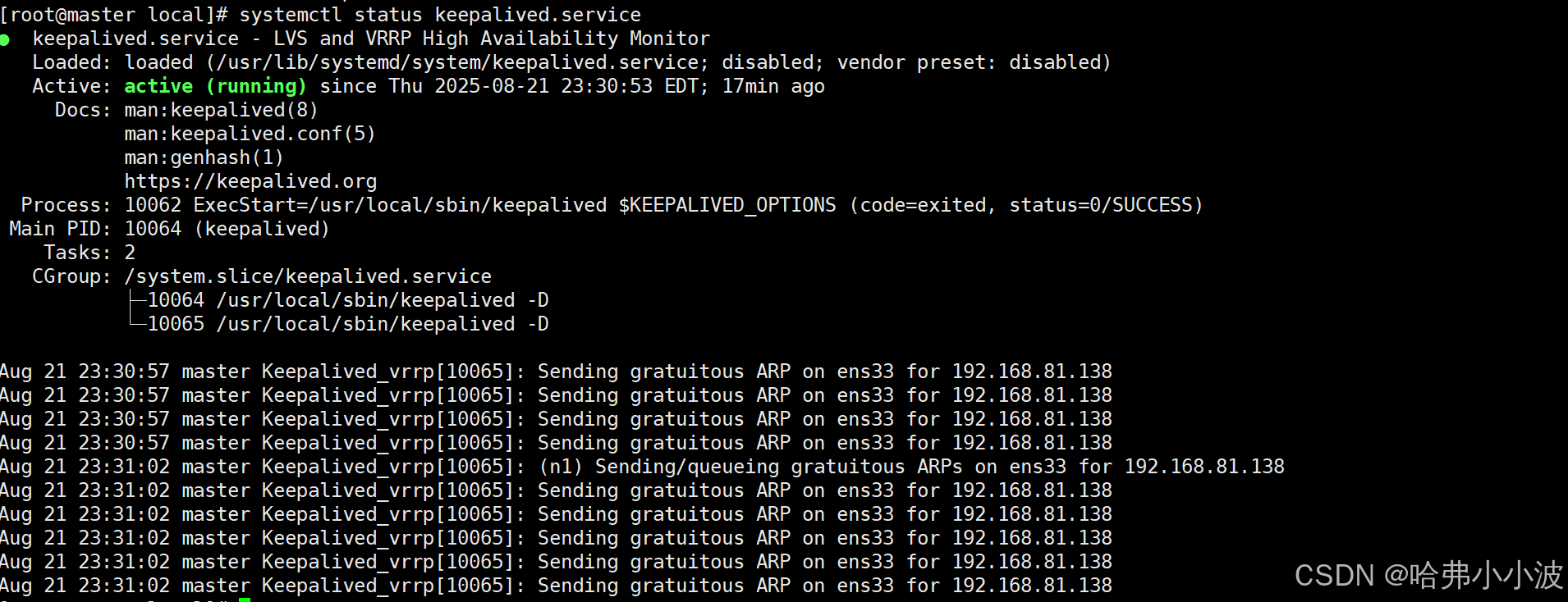 keepalived的安装与配置_keepalived安装与配置-CSDN博客