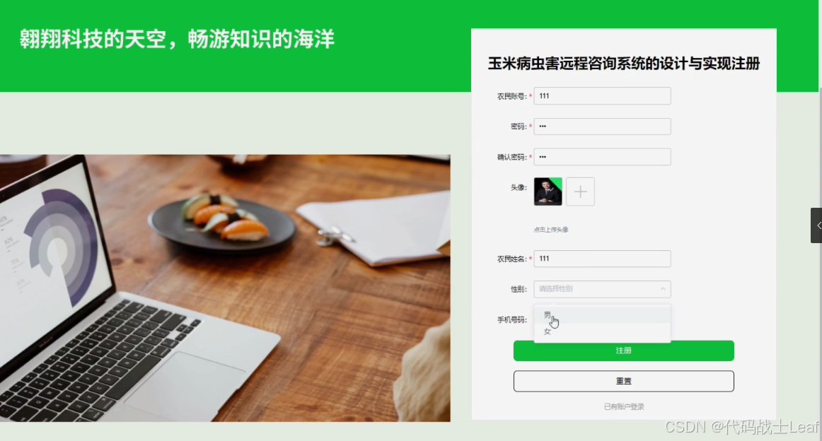 基于springbootvue的农作物病虫害数据统计系统设计和实现源码论文部署springboot农业病虫害识别系统 Csdn博客