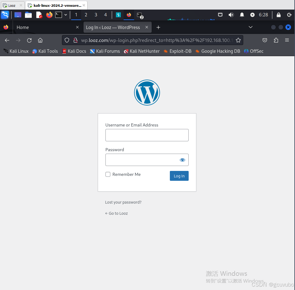 靶机渗透练习67-Looz_general purpose|storage-misc|wap-CSDN博客