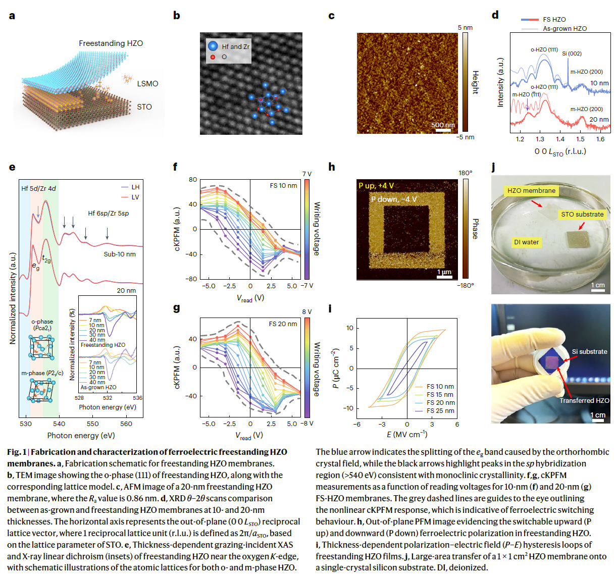 【Nature Electronics】【高κ栅介质】（Hf₀.₅Zr₀.₅O₂, HZO）铁电膜集成的二硫化钼（MoS₂）晶体管_hzo介电 ...