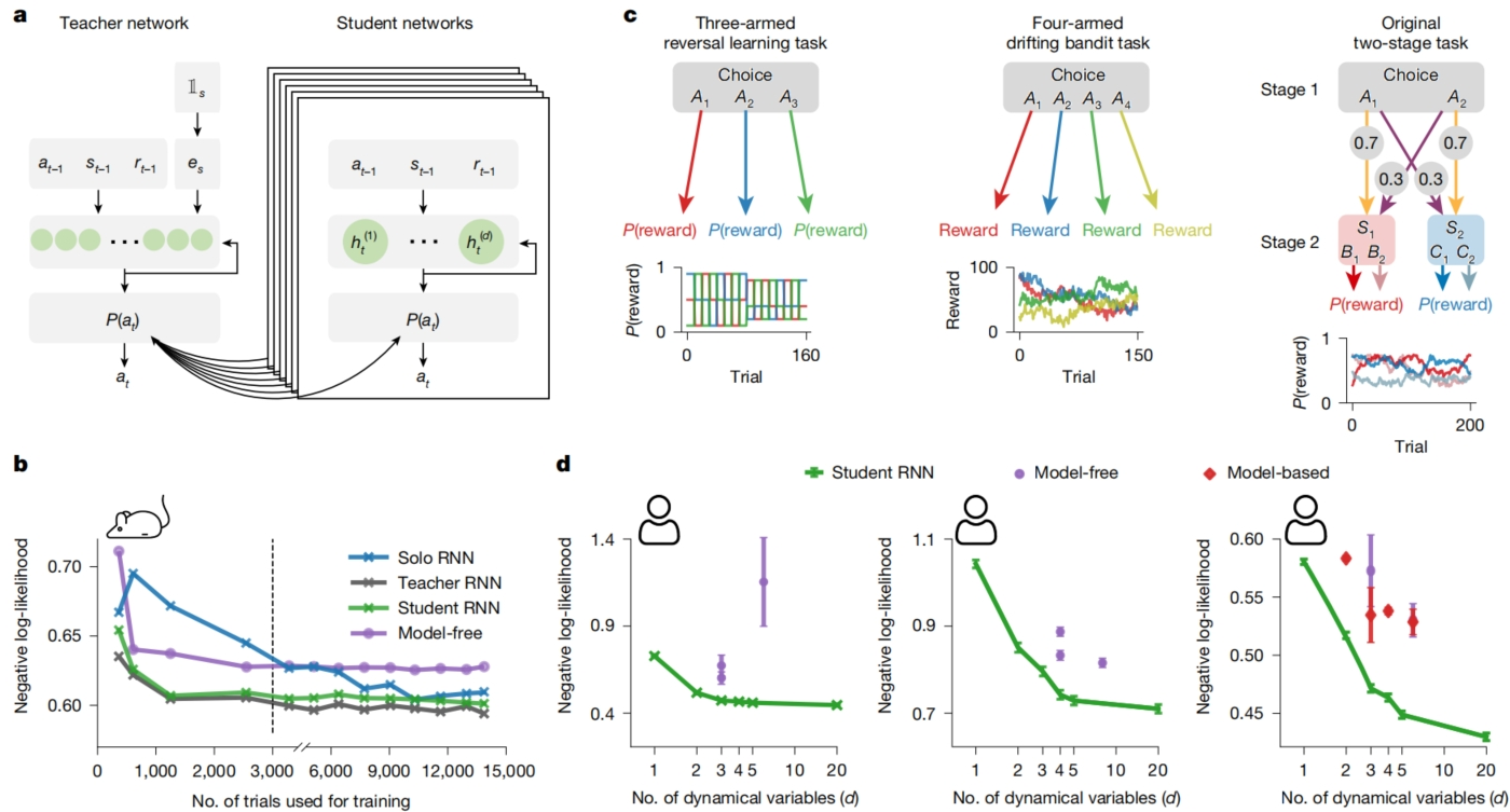 2025-Nature-Discovering cognitive strategies with tiny recurrent neural networks_论文解读discovering ...