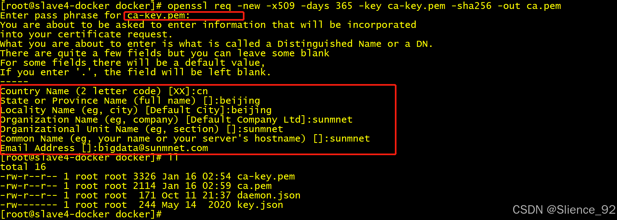 Docker_CA认证原理及配置_docker ca-CSDN博客
