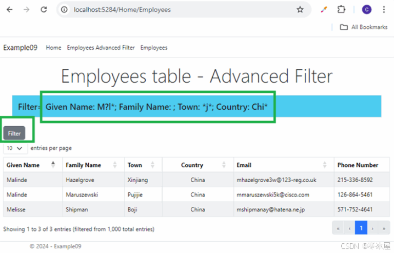 使用DataTables.net的ASP.NET8——第9部分——高级过滤器_datatable设置过滤器-CSDN博客