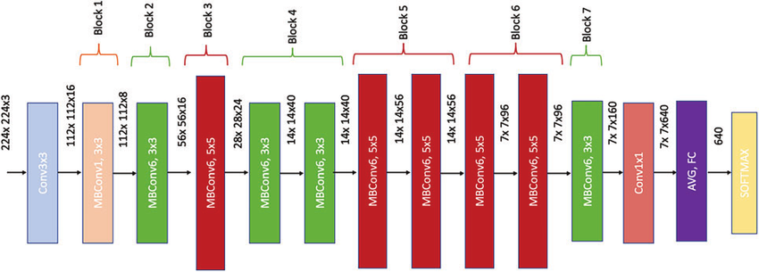 EfficientNet系列深度解析：从V1到V2的全面演进-CSDN博客