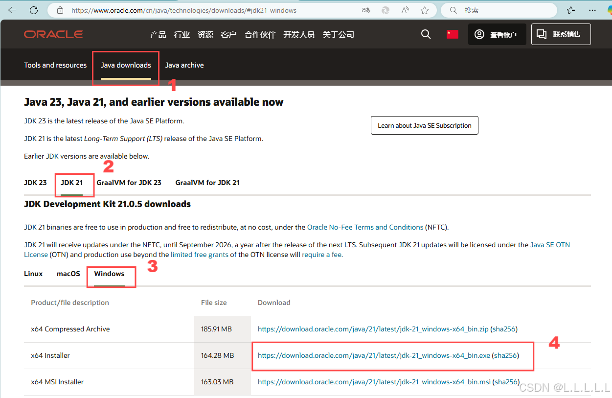 JDK21下载+安装+环境配置教程(Windows系统)_windows安装jdk-CSDN博客