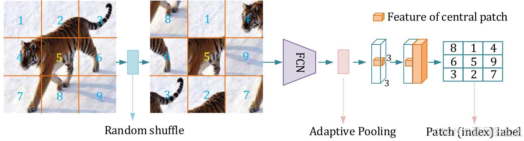 《Fully Convolutional Network-Based Self-Supervised Learning for Semantic Segmentation》论文解读 ...
