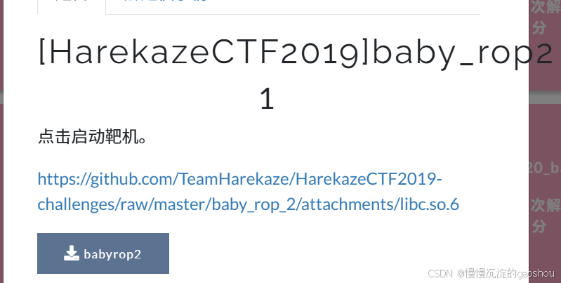 [HarekazeCTF2019]baby_rop2-CSDN博客