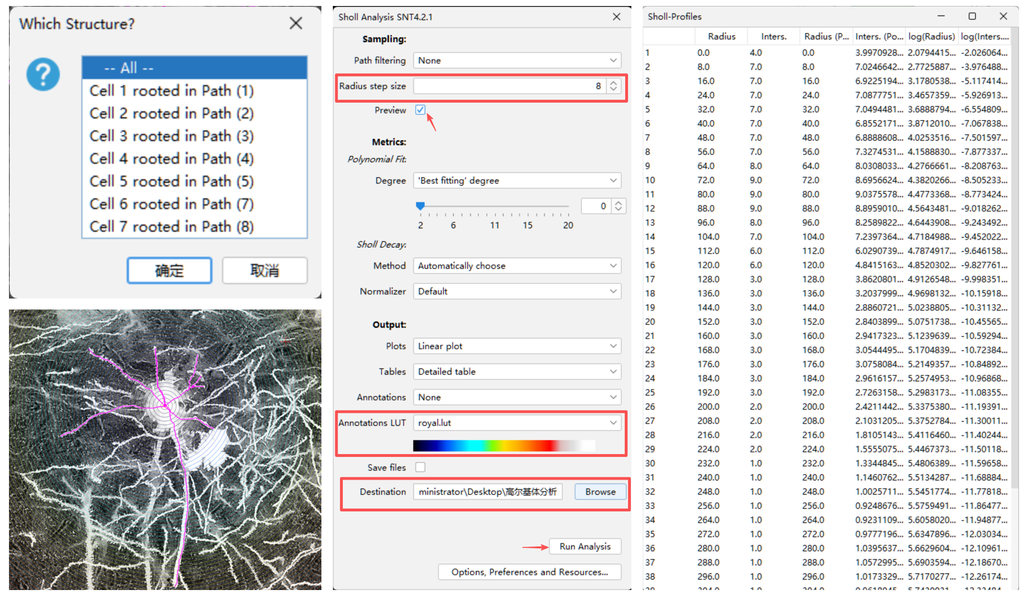 神经元高尔基染色Sholl分析(ing)-CSDN博客