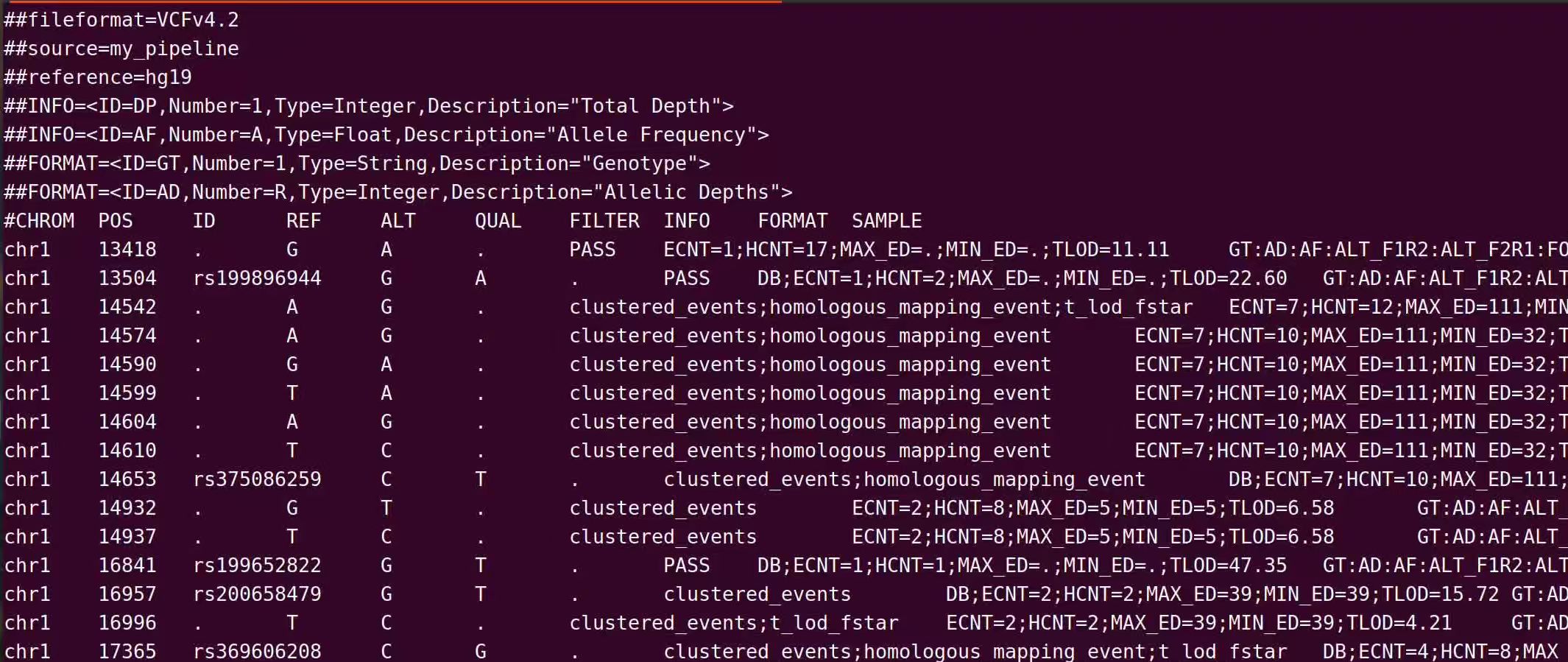 WES实战——全流程-CSDN博客