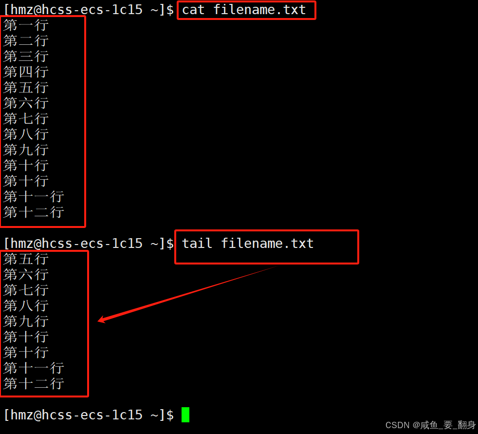 Linux基本命令篇 —— tail命令_tail 命令-CSDN博客