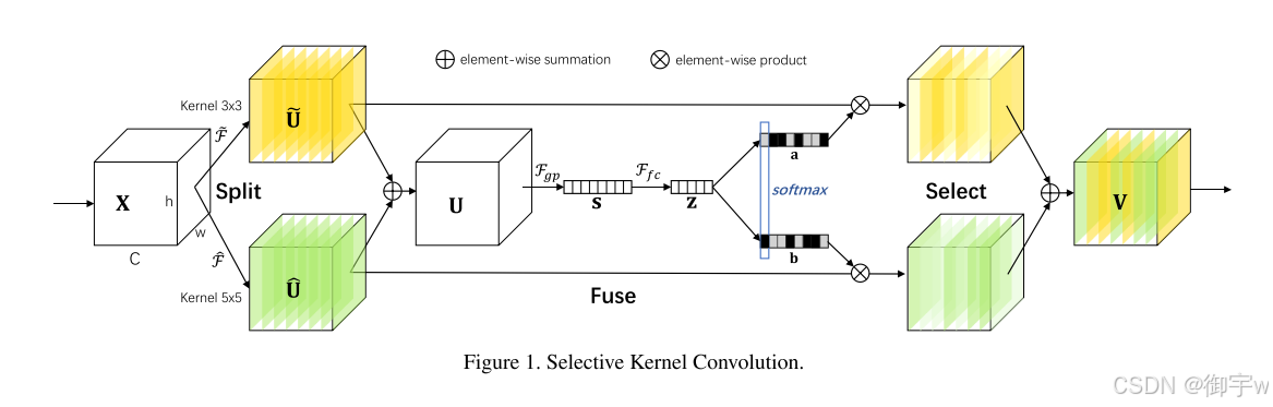 (即插即用模块-Convolution部分) 九、(CVPR 2019) SKConv 选择性核卷积-CSDN博客