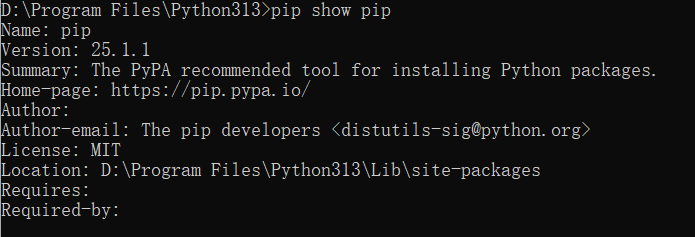 解决安装python勾选pip却没有pip问题_python没有pip怎么办-CSDN博客
