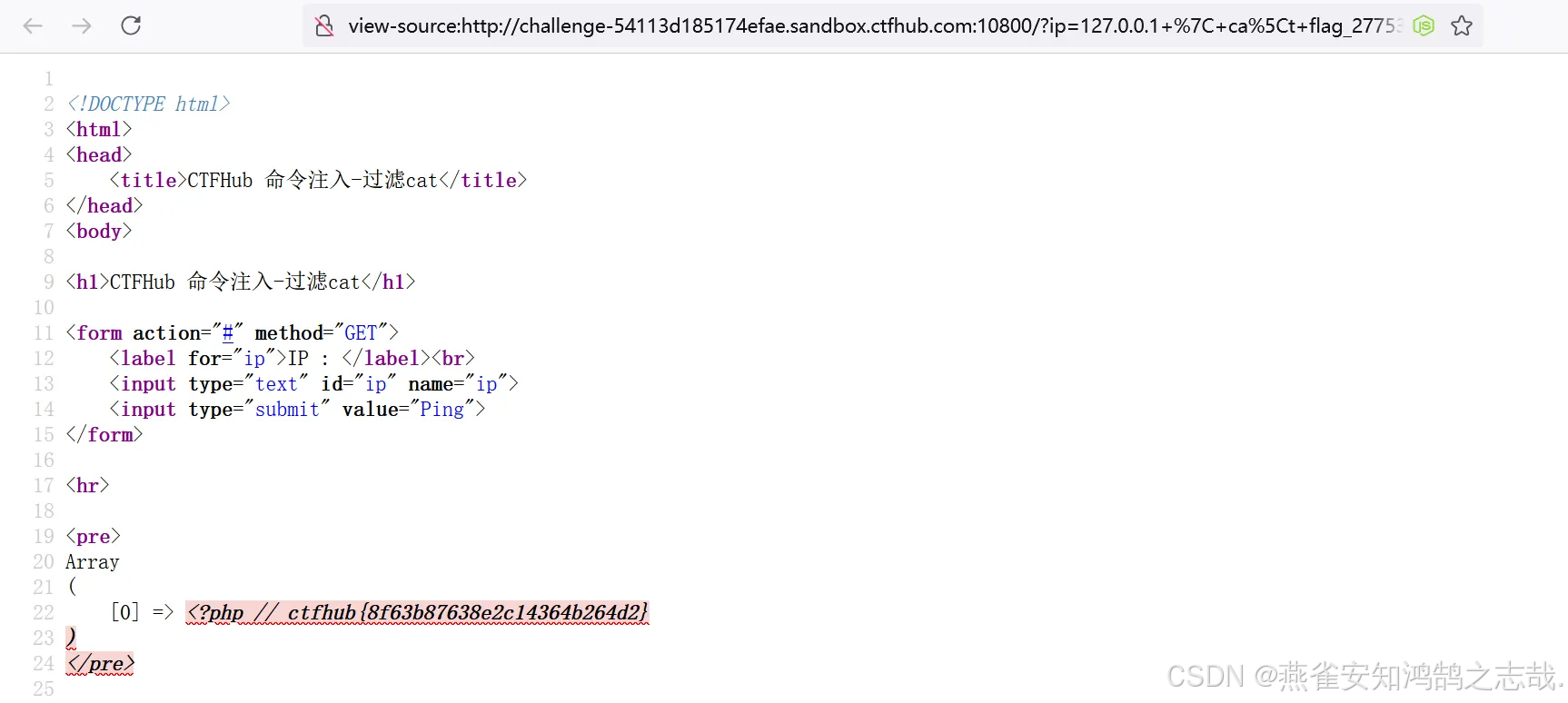 CTFHUB-web-RCE-过滤cat_ctf web 过滤-CSDN博客